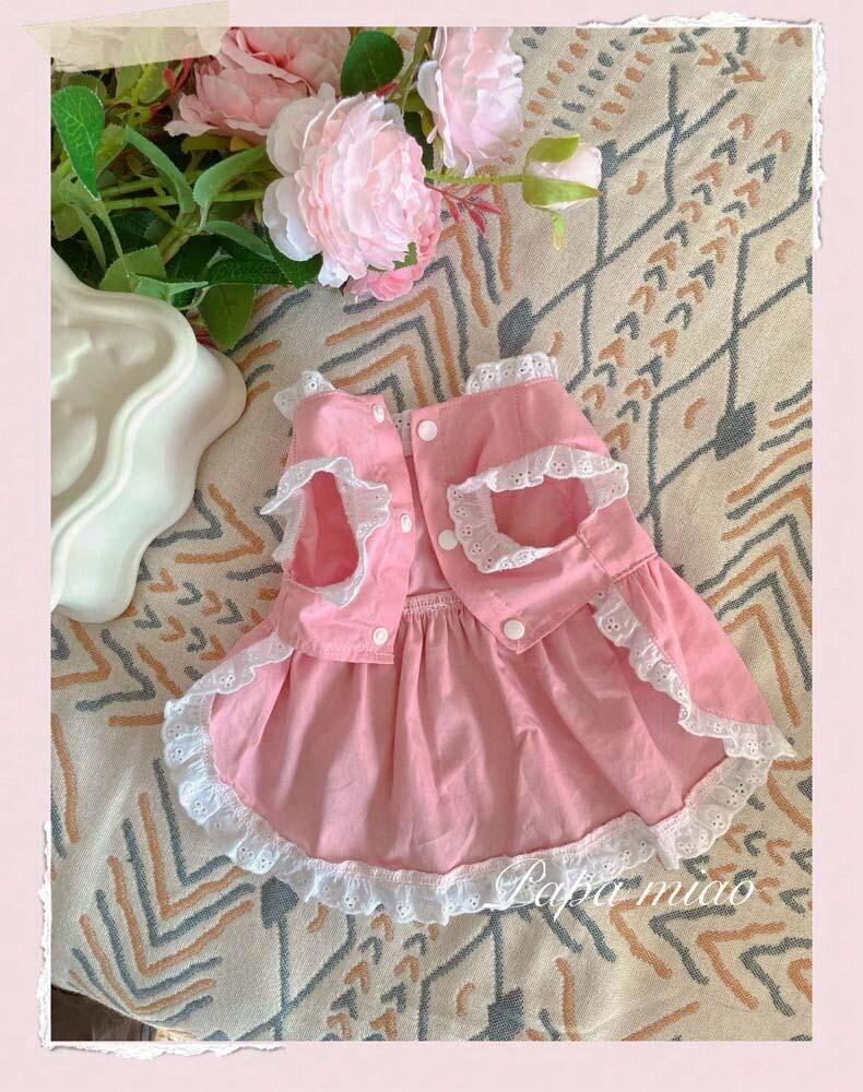 Lace Ditsy Floral Pink Maid Dress Costume For Cats And Small Dogs for ...