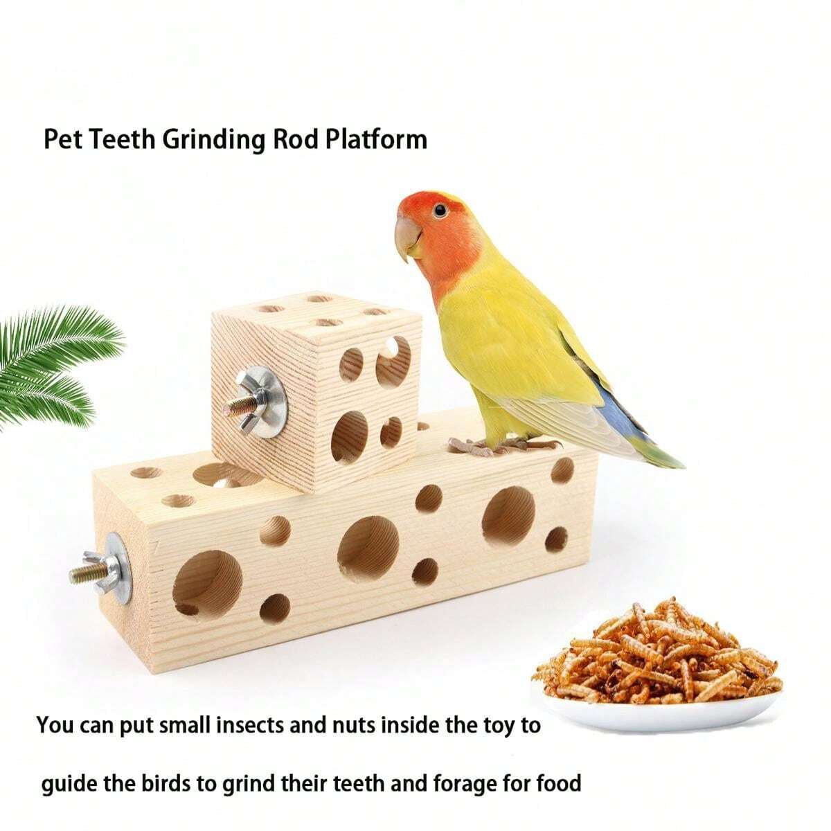 Parrot Gnawing Toy. Wooden Tree Hole Wooden Grinding Stick Stand. Can ...