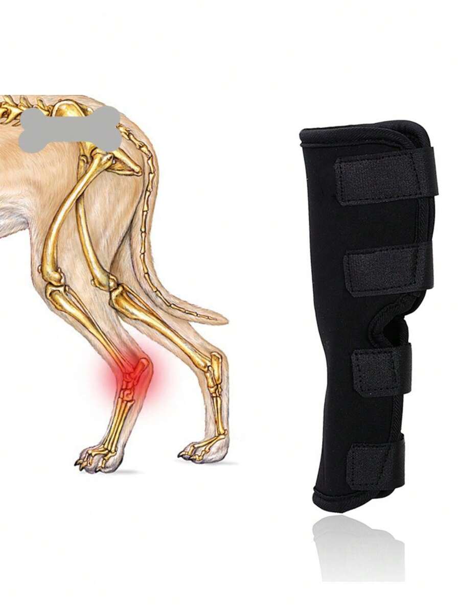 One, The Dog Injured Knee Protector Dog Leg Fracture Fixator Pet Front ...