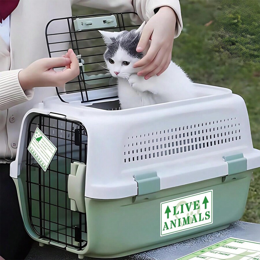 20 Pack Live Animals With Arrow Sticker Live Animal Stickers For ...