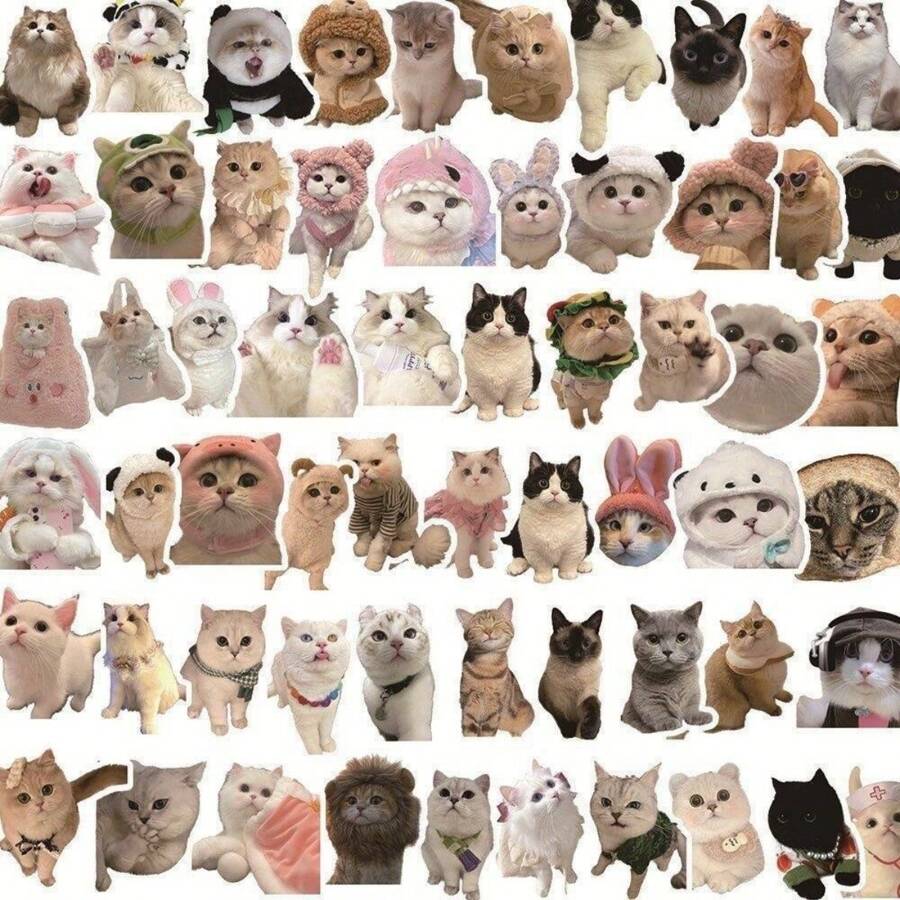 60pcs Cute Realistic Cat Stickers, Aesthetic, Lovely Small Animal Cat ...