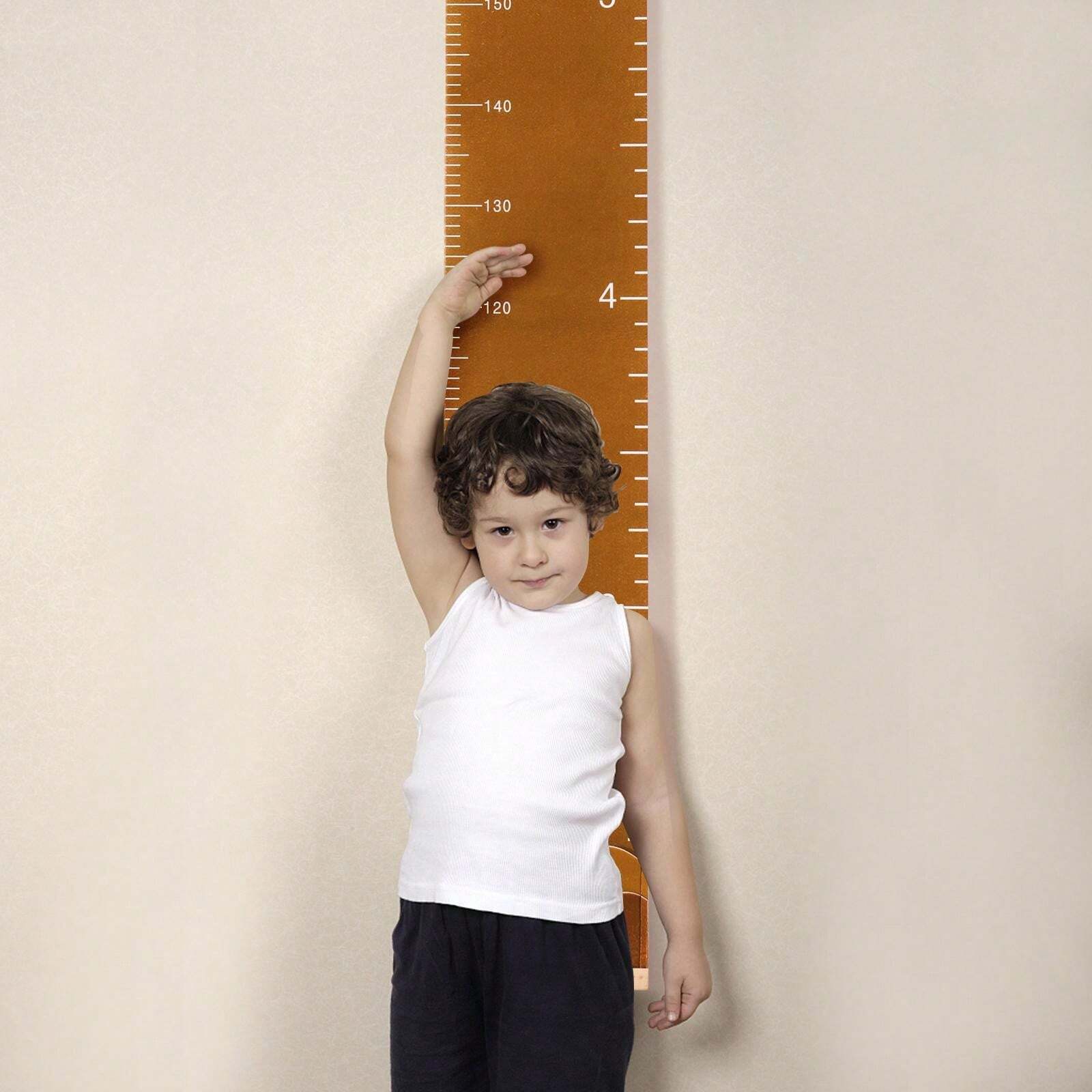 Kids Height Growth Ruler - Dinosaur Theme Decorative Wall Height ...