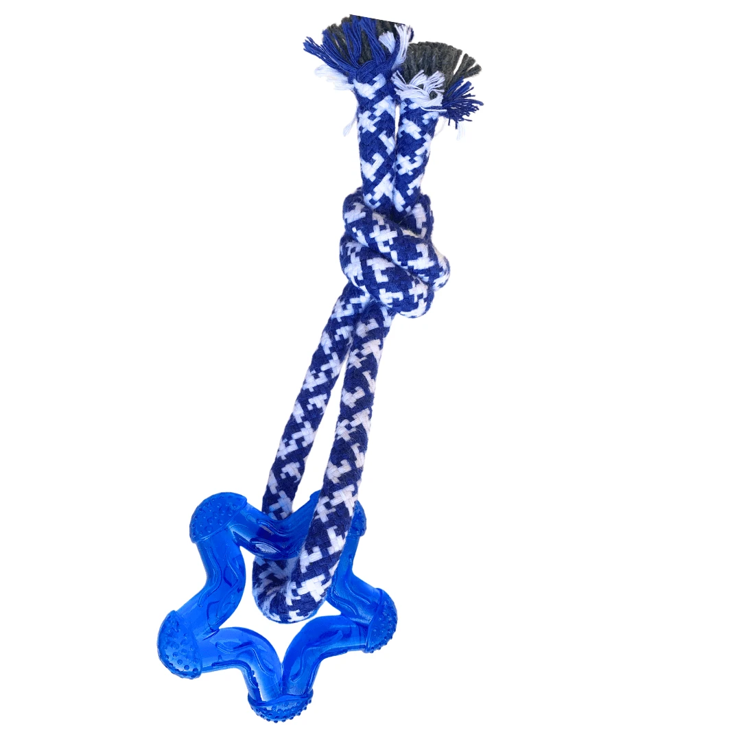 Kit 3 Teething Toys For Small Dogs, Pacifier, Bone With Pet Rope ...