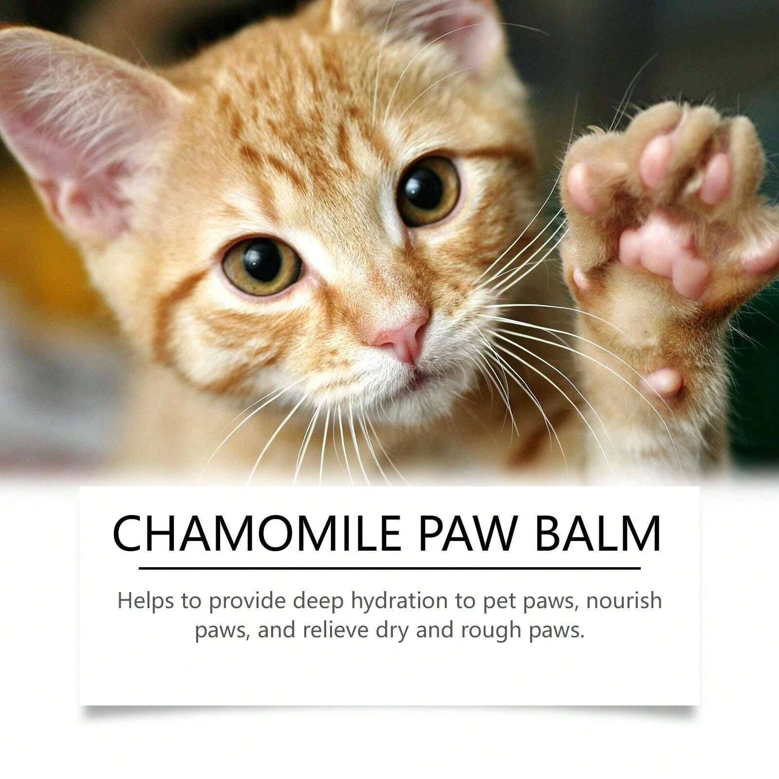 Cat & Dog Paw Care Balm - Gentle Formula, Deep Moisturizing, Prevents ...