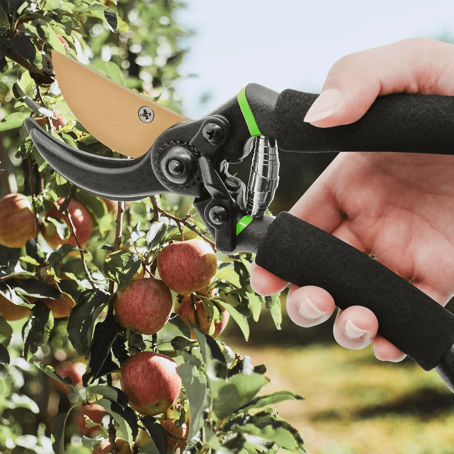 Premium Bypass Pruning Shears, Heavy Duty Ultra Sharp Hand Pruners ...