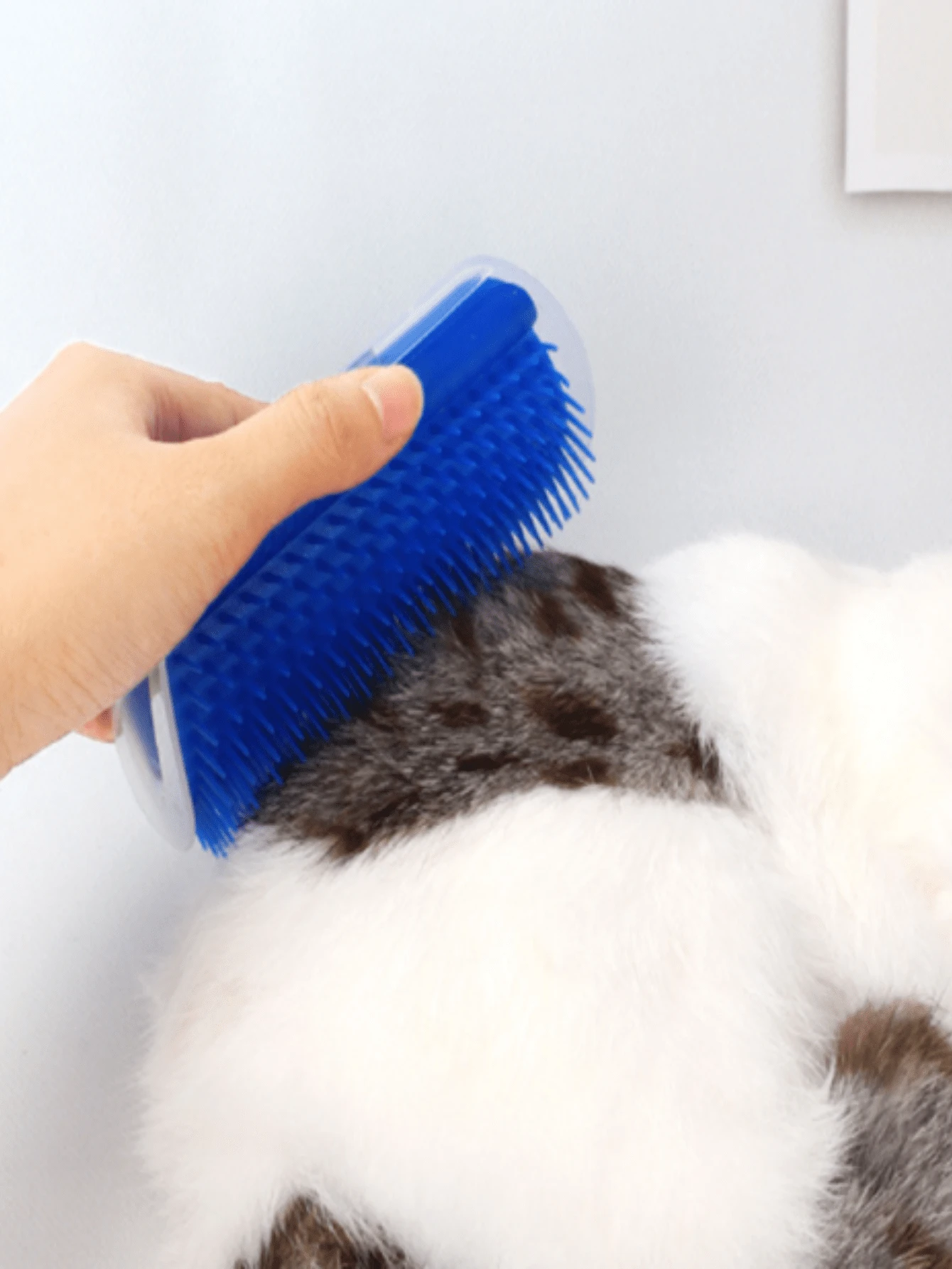 1 Unit Pet Scratching Brush Domestic Animals Promotion | SHEIN South Africa