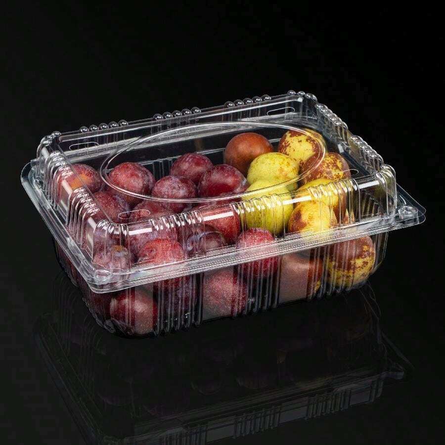 50 Pack Clear Plastic Berry Clamshell Vented Container For Blueberry ...