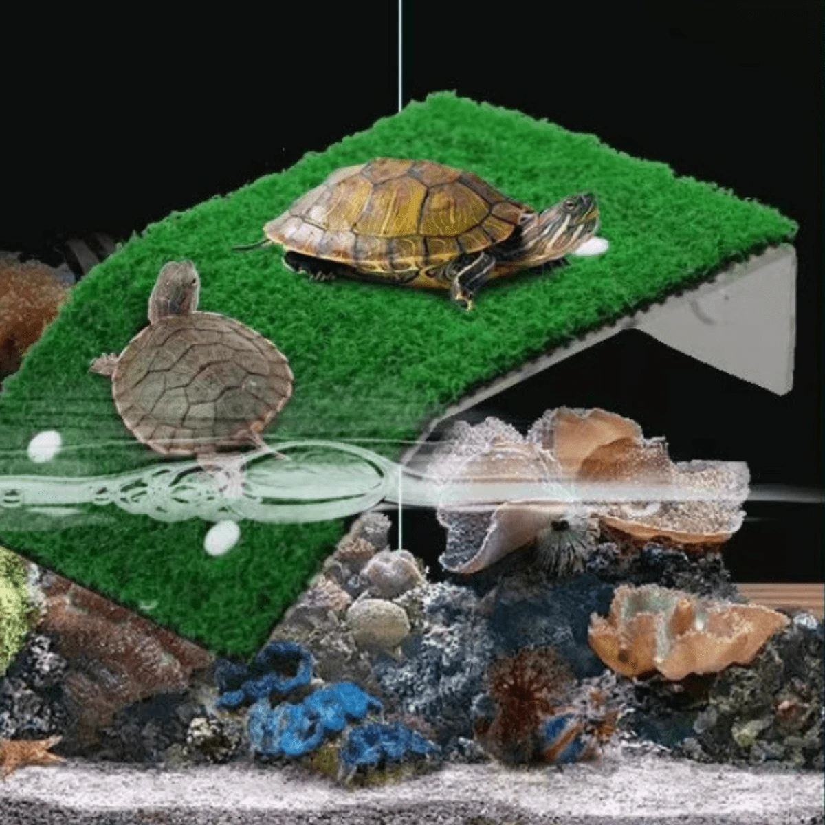 1PC Turtle Climbing Ladder To Avoid Climbing Platform Climbing Slope ...