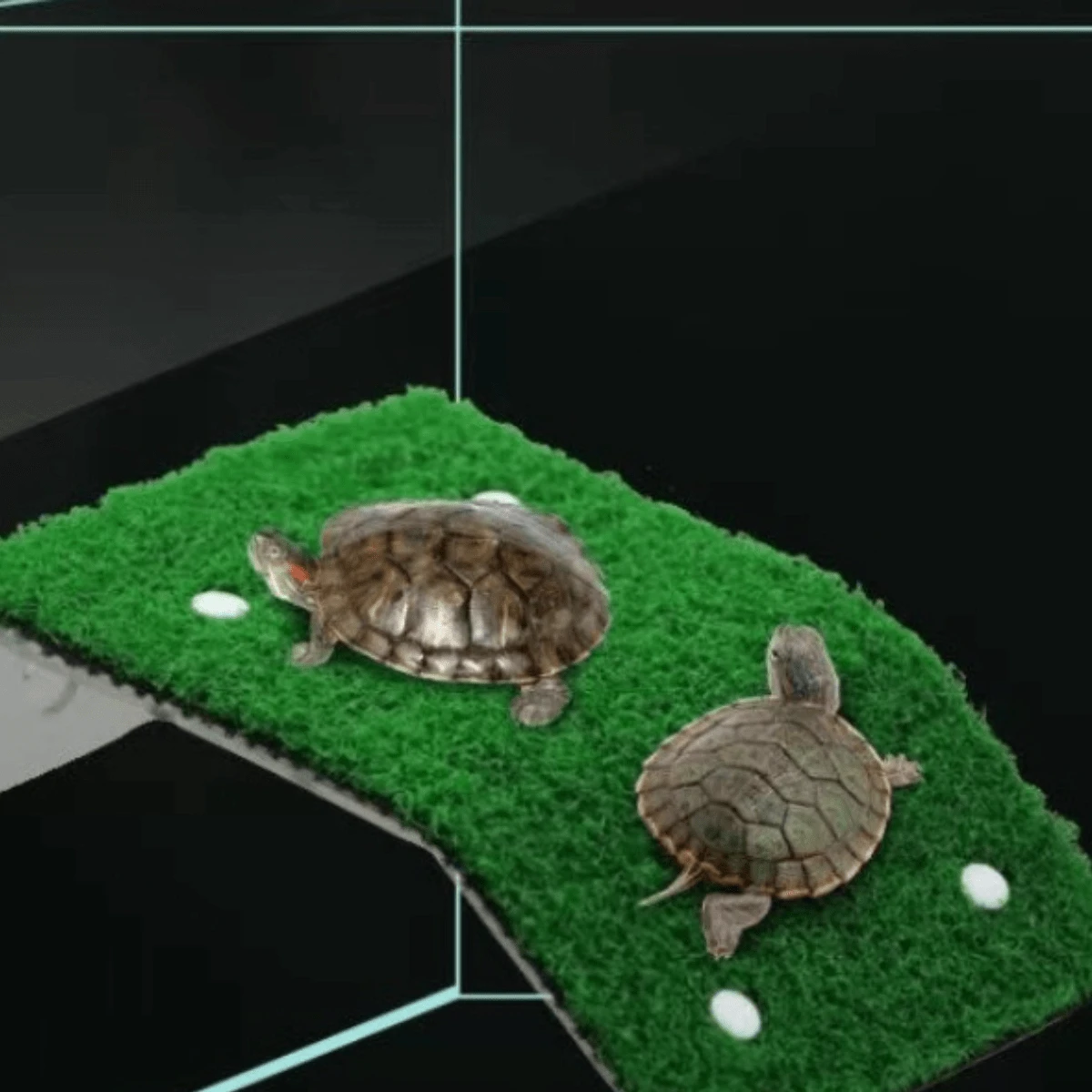 1PC Turtle Climbing Ladder To Avoid Climbing Platform Climbing Slope ...