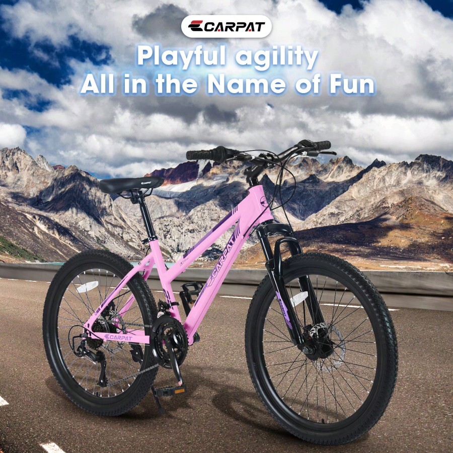 S24103 24 Inch Mountain Bike For Teenagers Girls Women, Shimano 21 ...