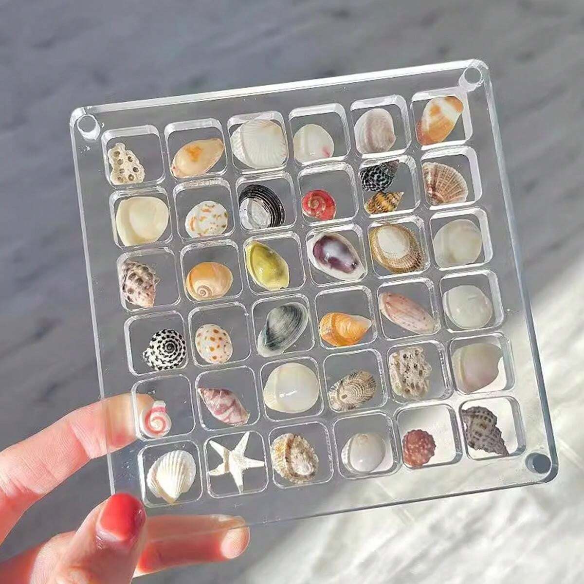 Clear Acrylic Transparent Seashell Storage Box, DIY Stones, Creative ...