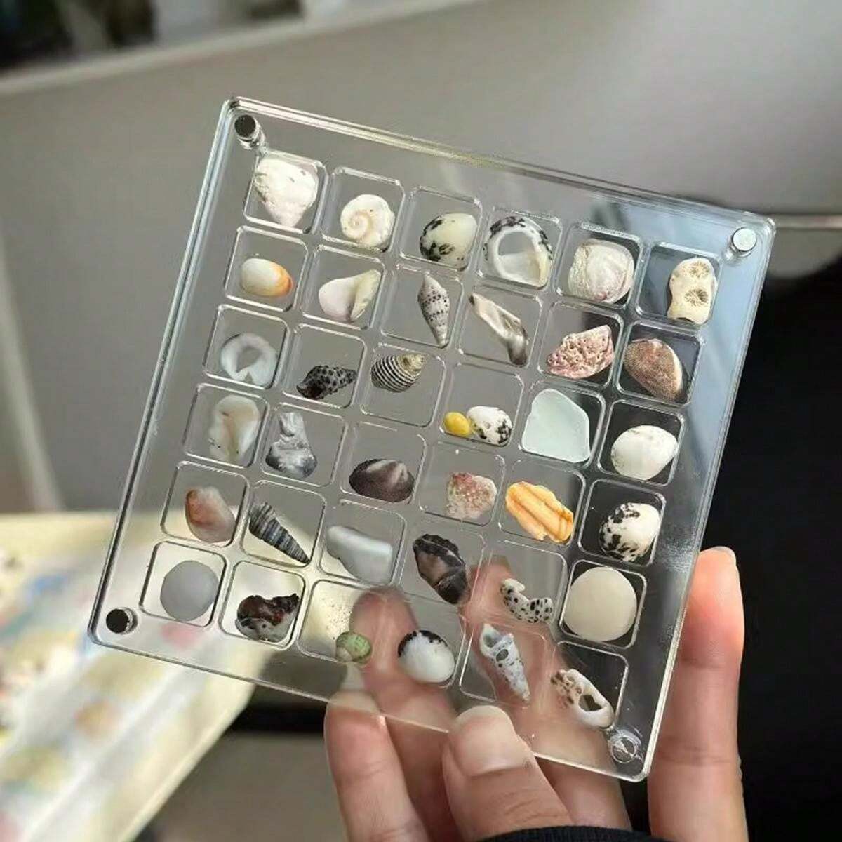 Clear Acrylic Transparent Seashell Storage Box, DIY Stones, Creative ...