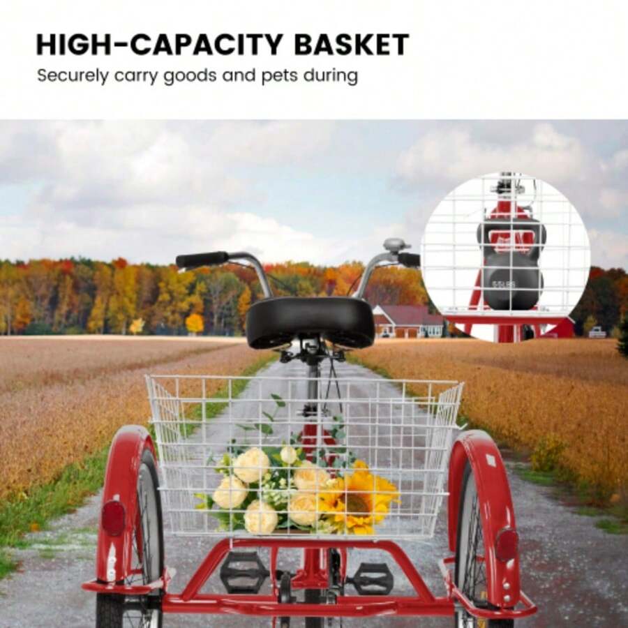 Adult Tricycles, 1 Speed Adult Trikes 24 Inch 3 Wheel Bikes, Three ...