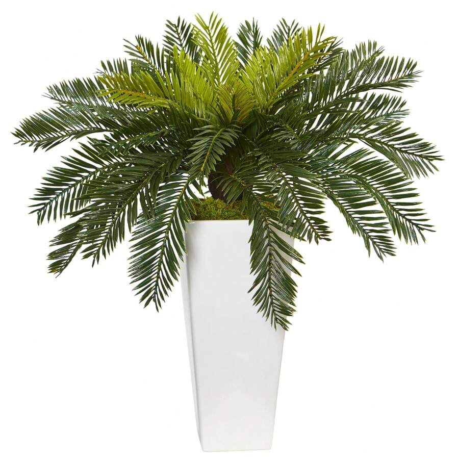 Artificial Cycas Plant With Full Green Foliage In A Modern Tall White ...