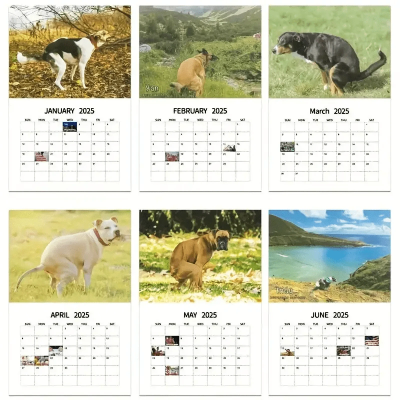 2025 Humorous Dog Pooping In Beautiful Places Calendar - Wall Hanging ...