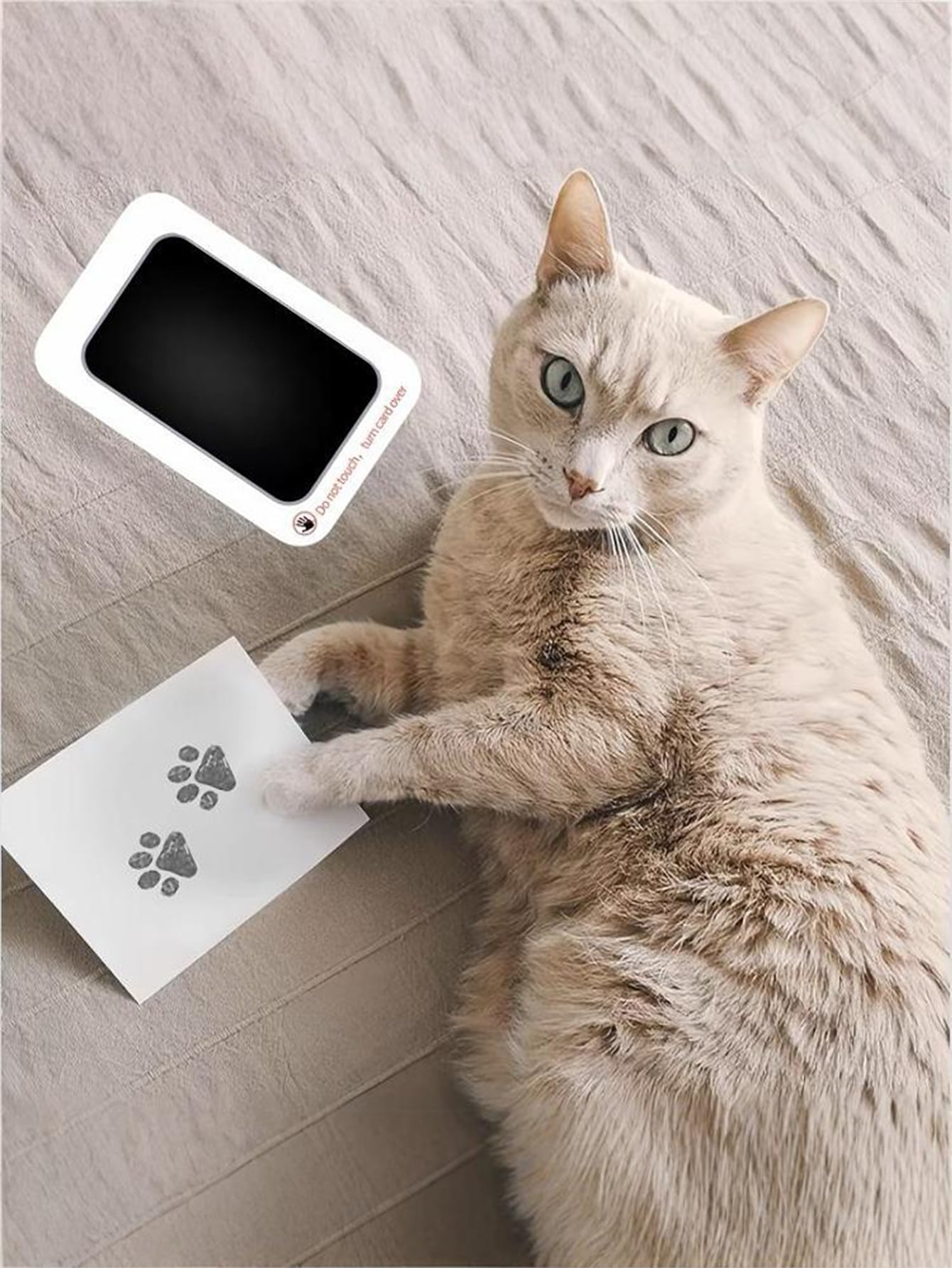 Pet Paw Print Ink Pad For Dogs And Cats, Touchless Ink Pad Pet ...