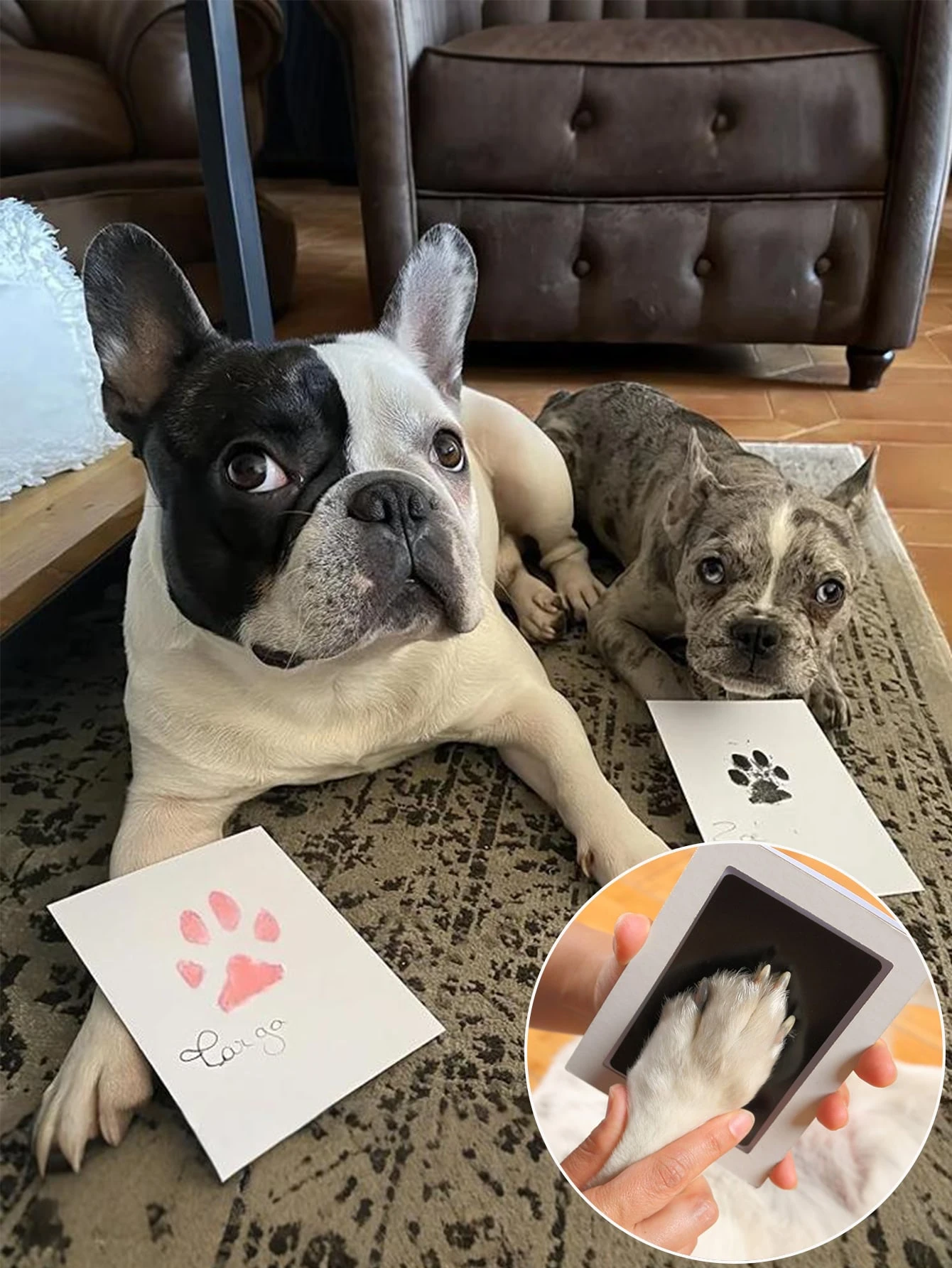 Pet Paw Print Ink Pad For Dogs And Cats, Touchless Ink Pad Pet ...