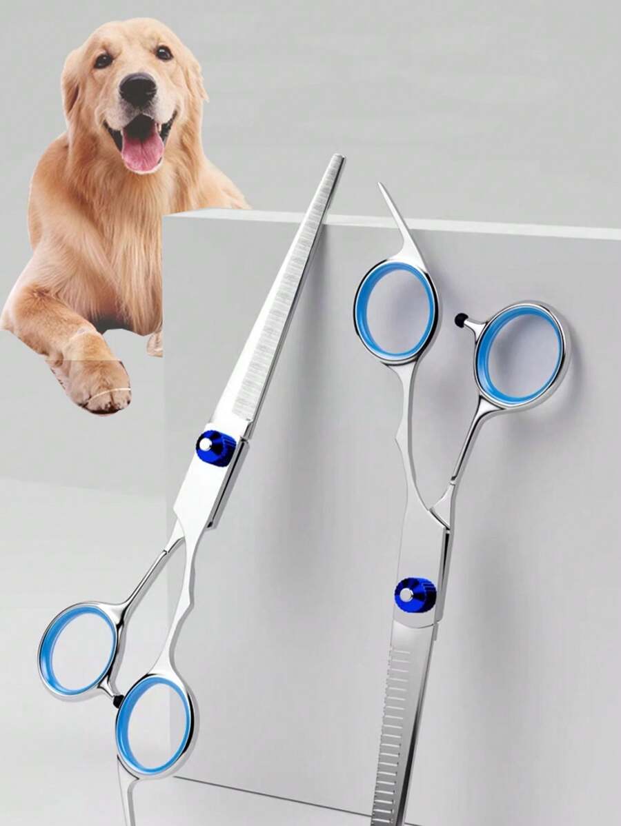 Professional Pet Grooming Scissors Set: Thinning Shears, Straight ...