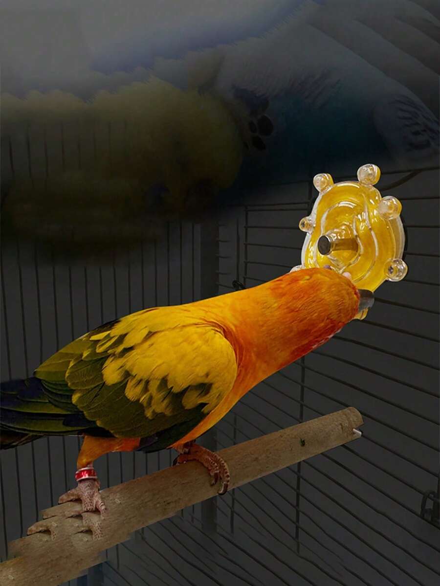 1pc Interactive Parakeet Toys - Plastic Spinner Wheel With Rolling ...