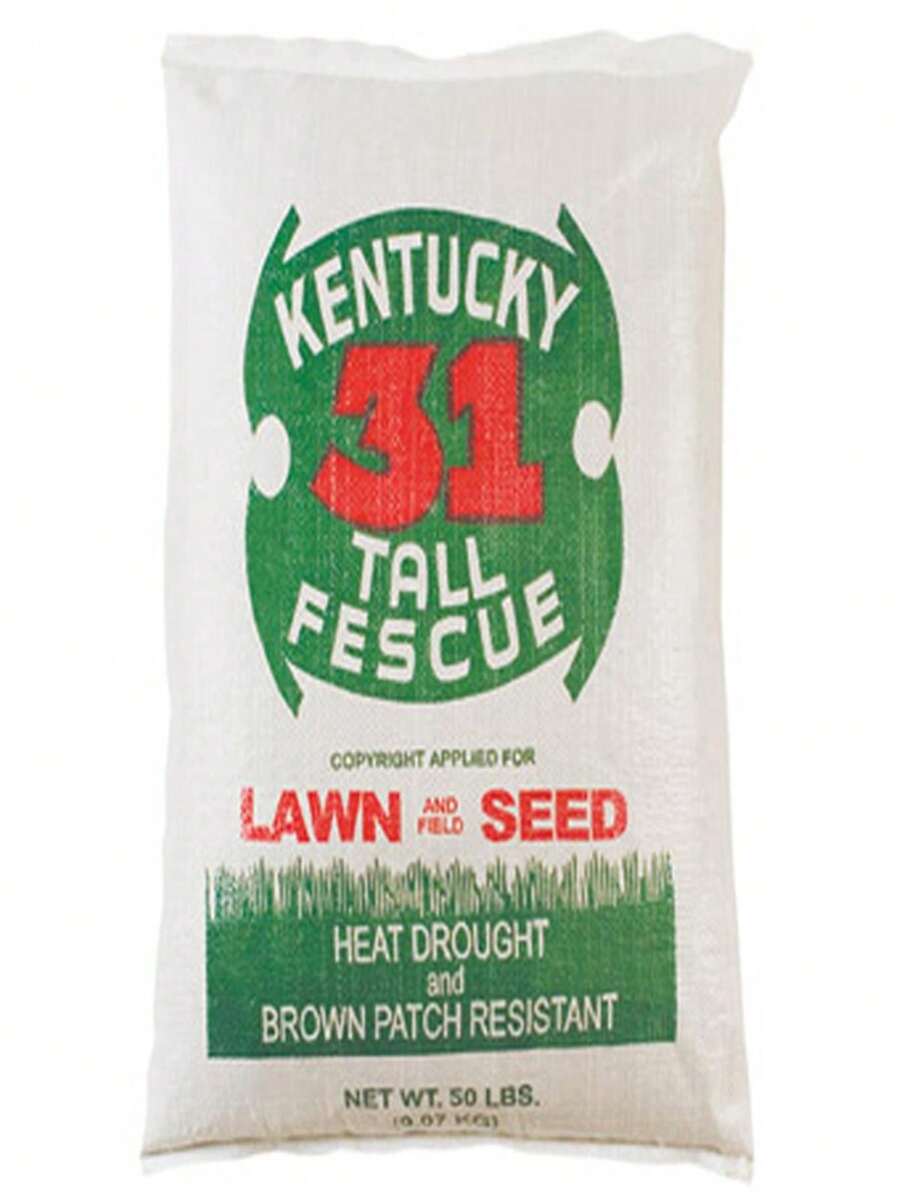 25 Lbs Ky 31 Tall Fescue Grass Seed - Pack Of 25 | SHEIN South Africa