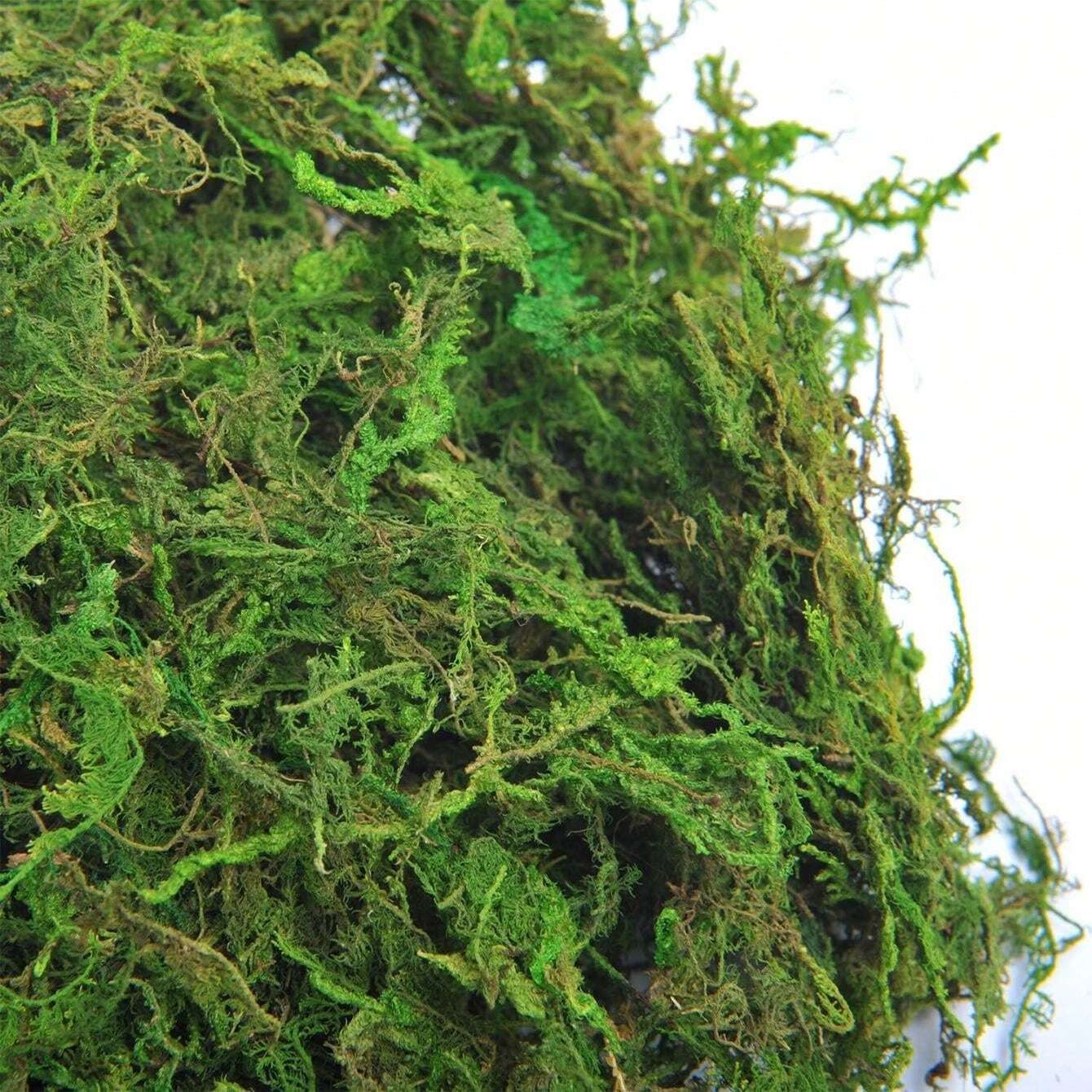 Faux Moss For Potted Plants Artificial Moss For Crafts Fake Moss Decor ...