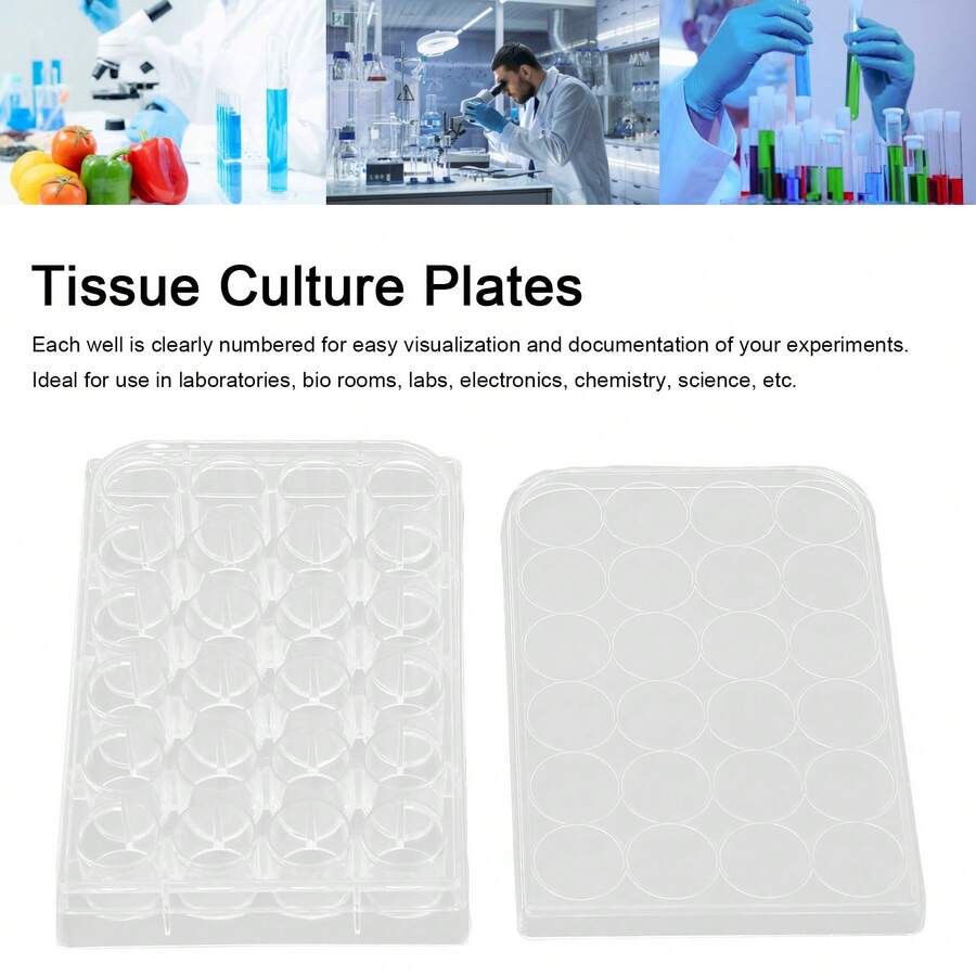 10 Pieces Of Culture Plates: Uniform Thickness, Highly Transparent ...