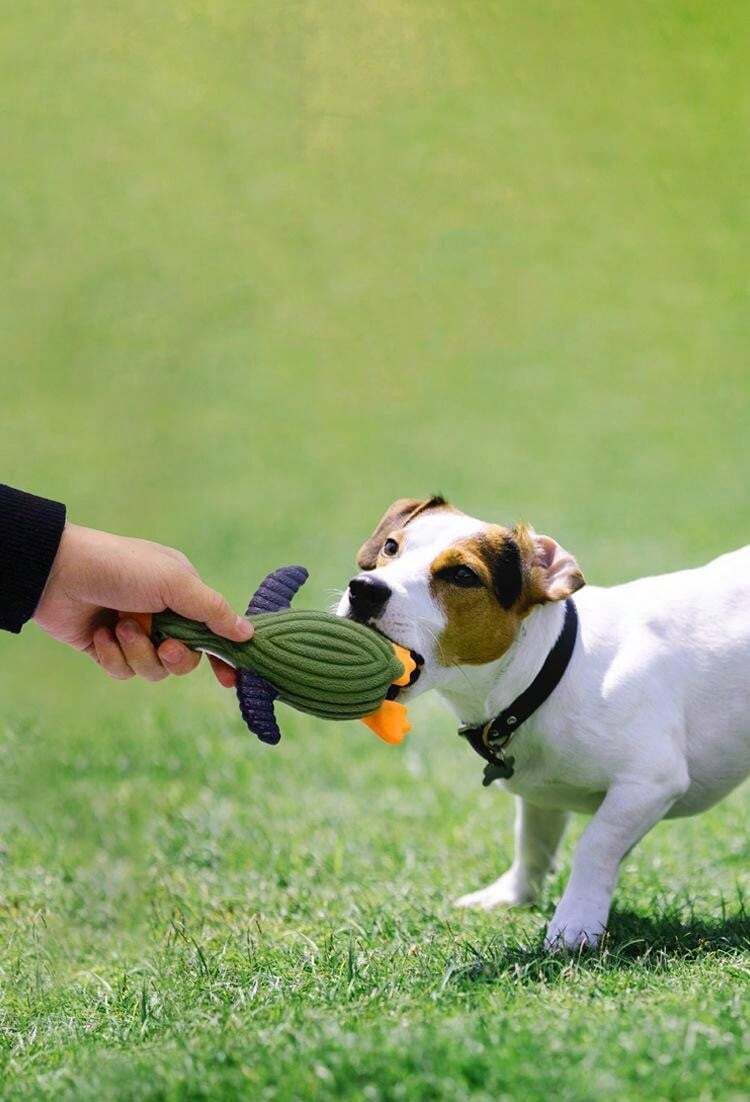 Latex Textured Honking Goose Pet Toy For Dogs, Chew Resistant Feeding ...