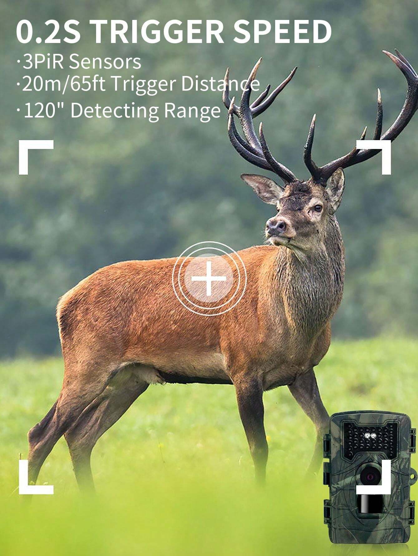 Câmera de Rastreamento de Animais Selvagens Externa 1080P, Câmera de ...