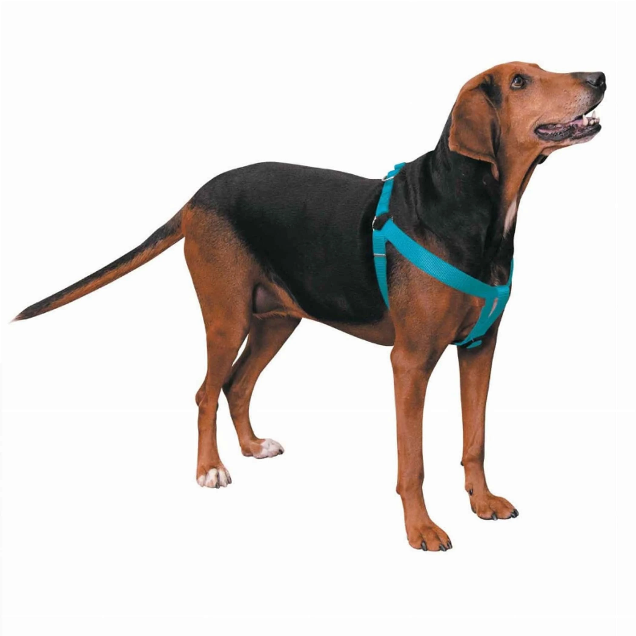 Guardian Gear CC Nylon 2 Step Harness | SHEIN USA