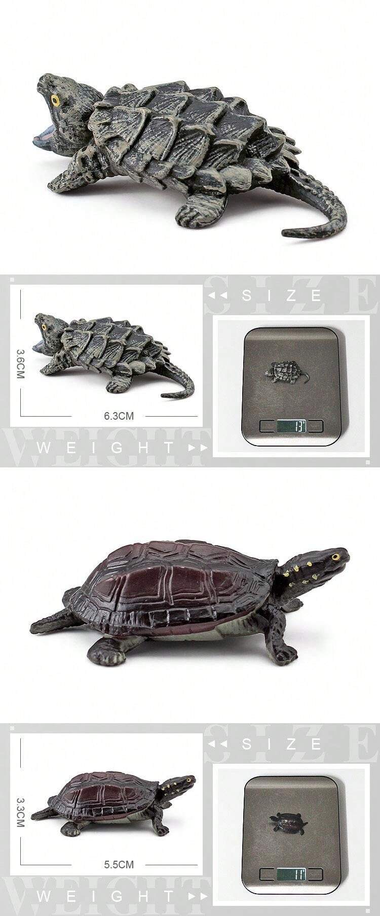 12 Pcs Realistic Chinese Turtle , Alligator Turtle , Japanese Pond ...