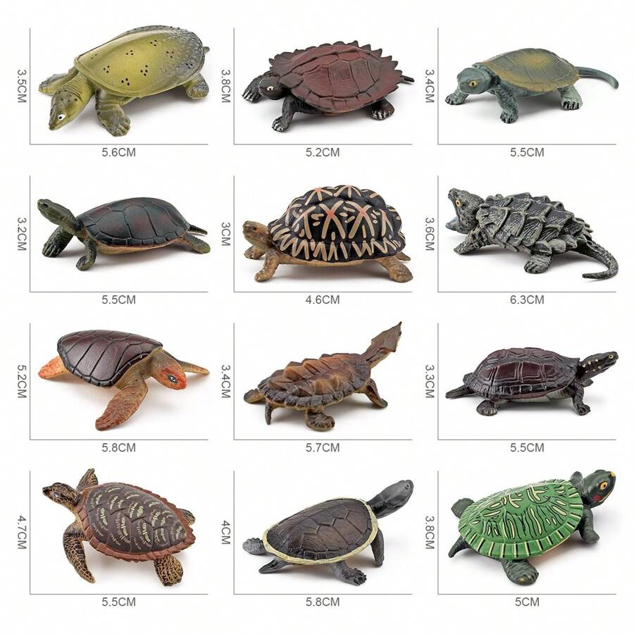 12 Pcs Realistic Chinese Turtle , Alligator Turtle , Japanese Pond ...