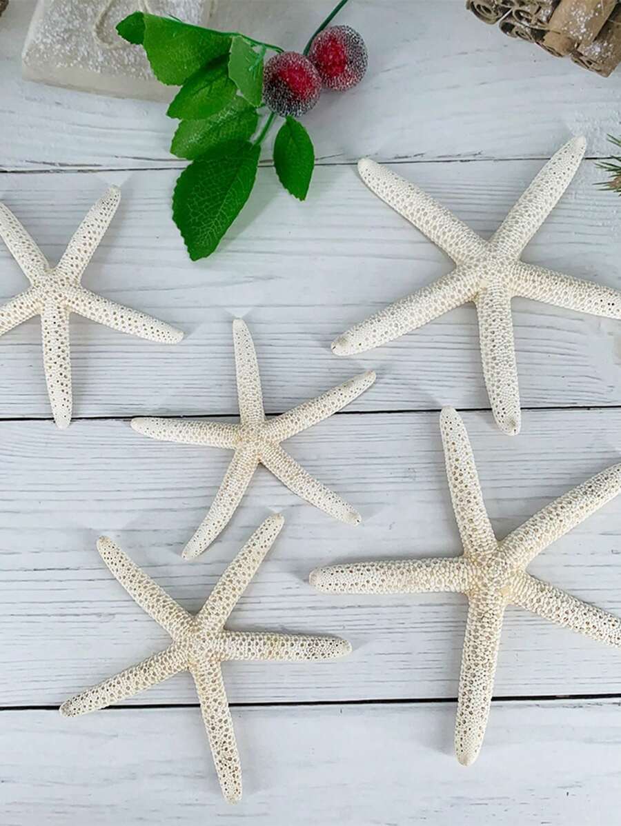 1pc Mediterranean Style Conch Shell, Bun-Shaped Starfish Wall Decor ...