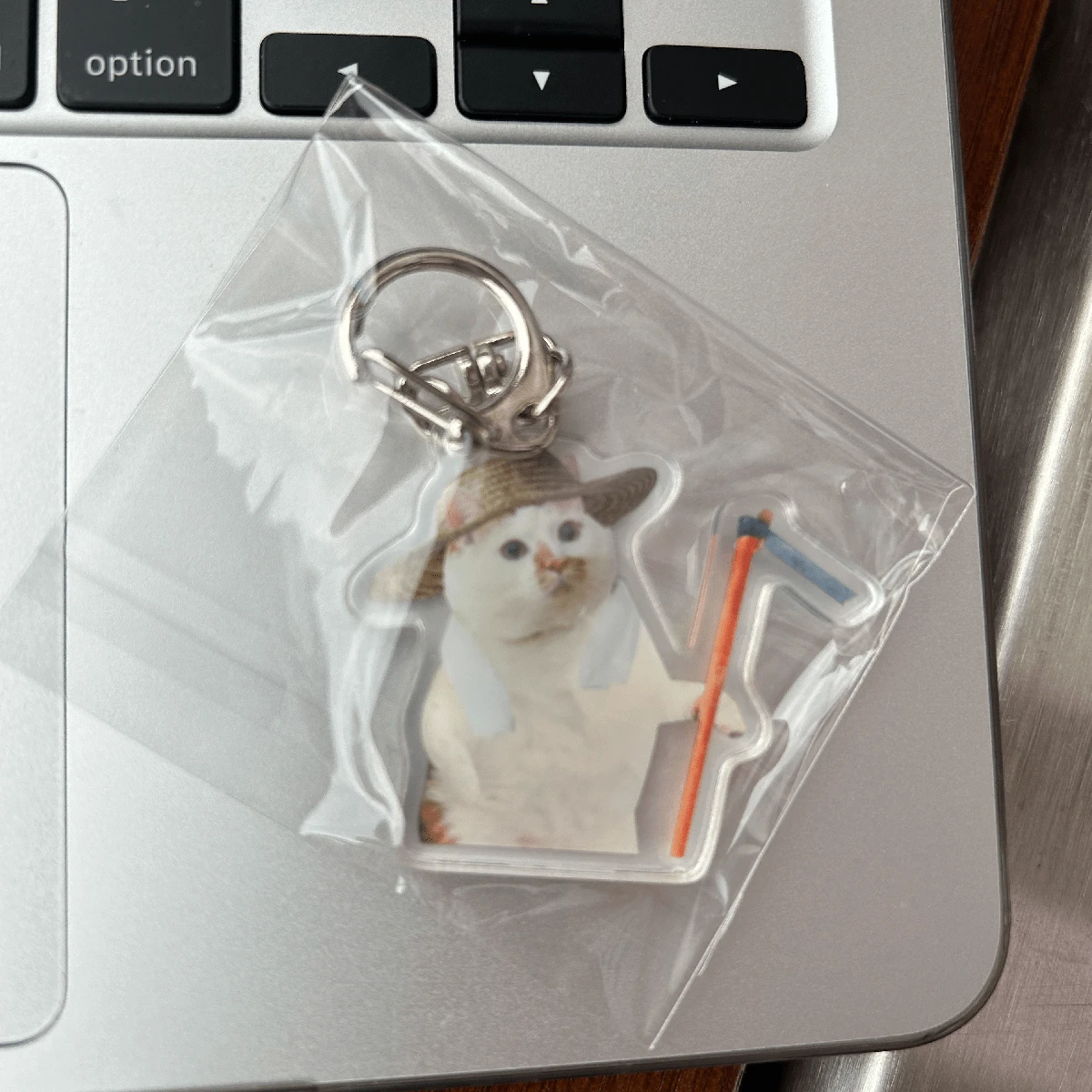 Funny Cat Expression Acrylic Keychain, Farm Series | SHEIN UK