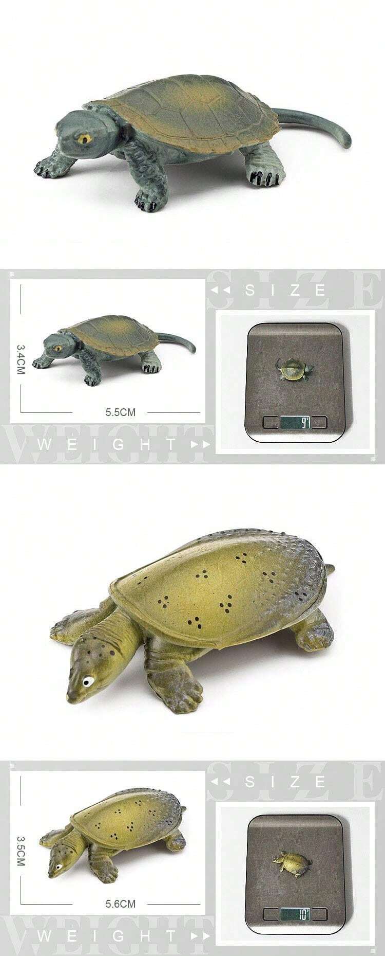 12 Pcs Realistic Chinese Turtle , Alligator Turtle , Japanese Pond ...