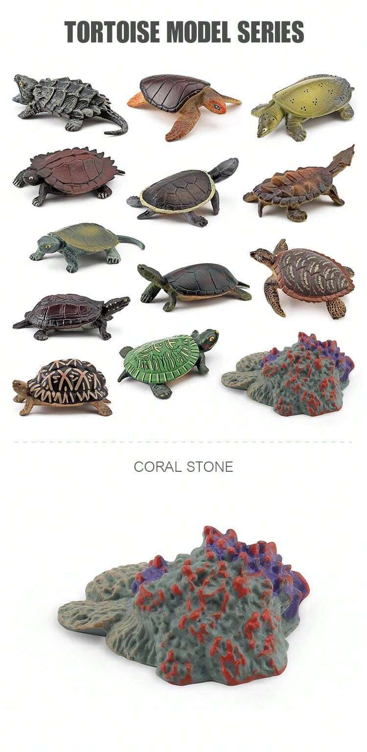 12 Pcs Realistic Chinese Turtle , Alligator Turtle , Japanese Pond ...