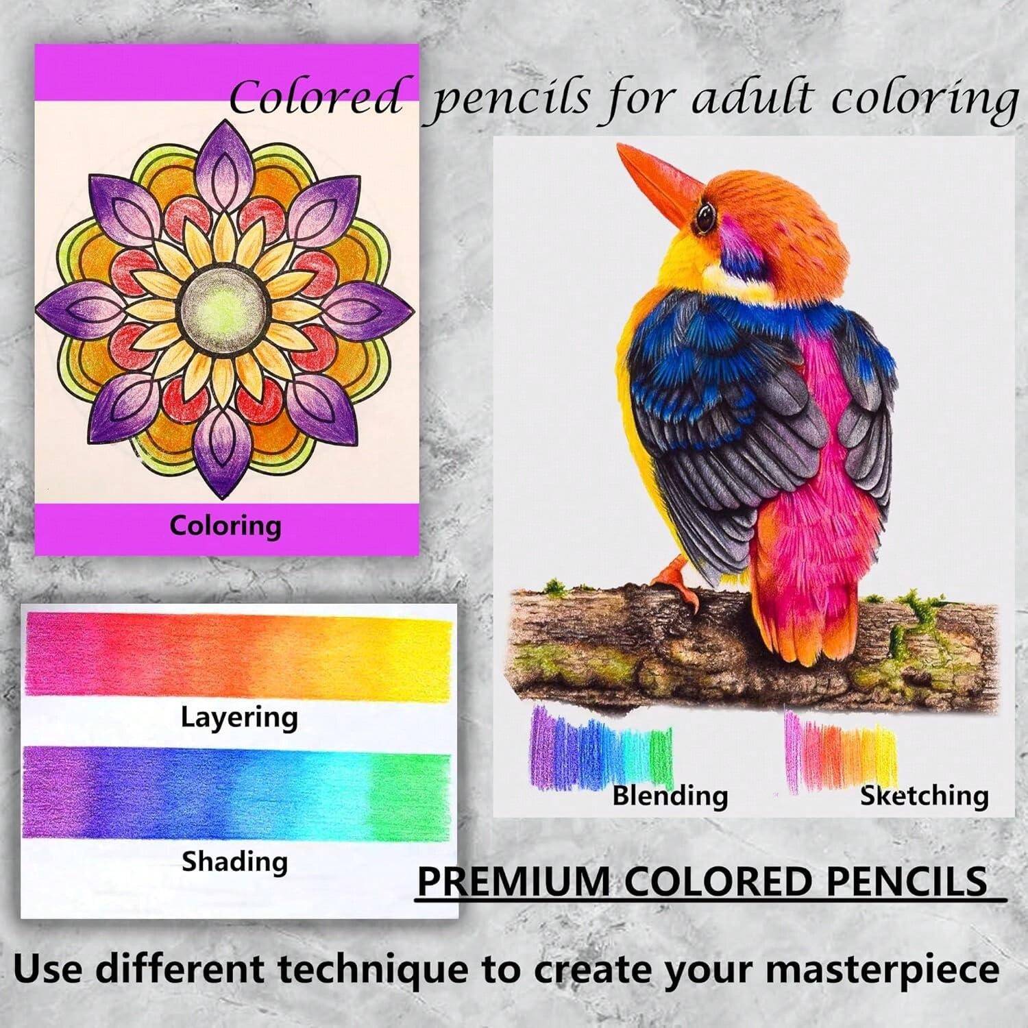 Colored Pencils For Adult Coloring Book,Set Of 50/72 Colors,Artists ...
