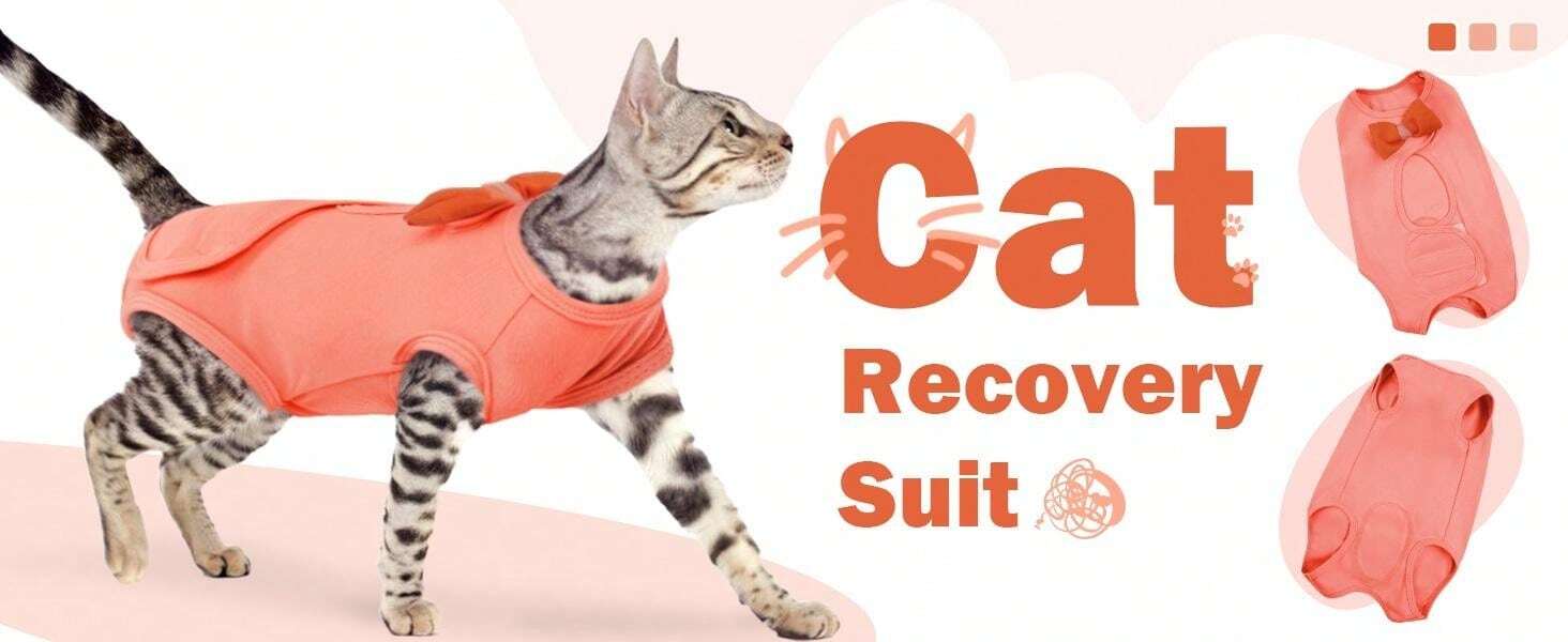 Cat Recovery Suit, Cat For Cats After Surgery Female Male, Cone Of ...