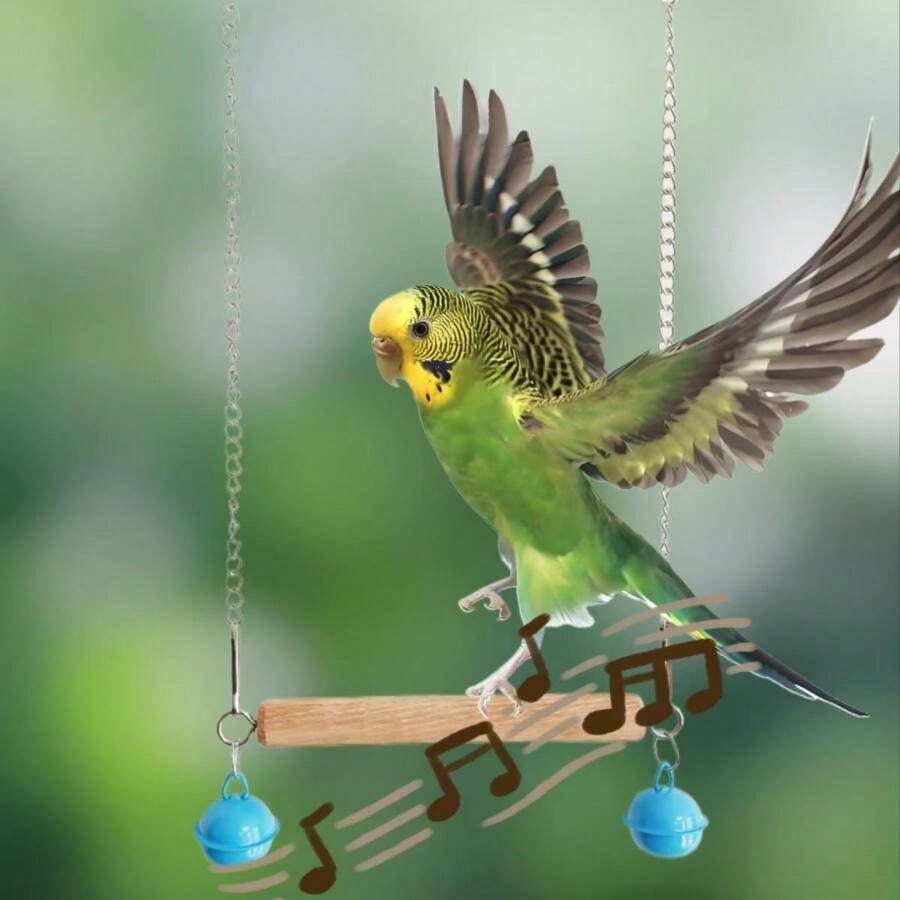 Bird Toys, Bird Swing Toy Bird Perch With Colorful Chewing Toys ...