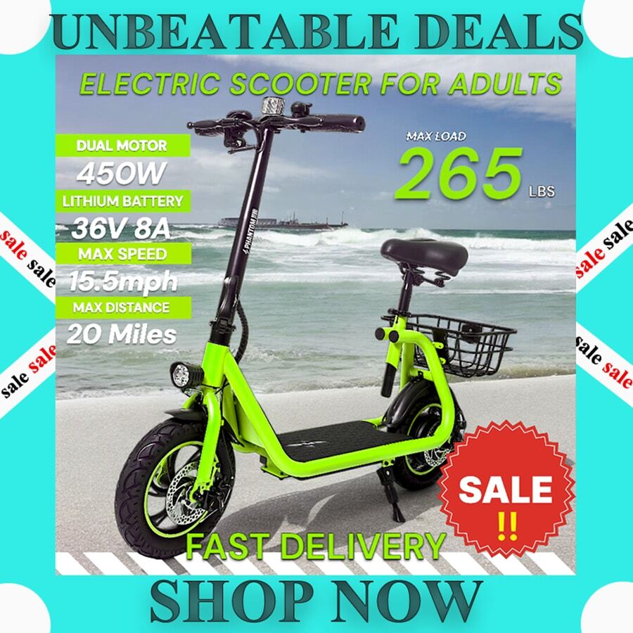 phantomgogo Phantomgogo R1 Electric Scooter For Adults - Aluminum Body ...