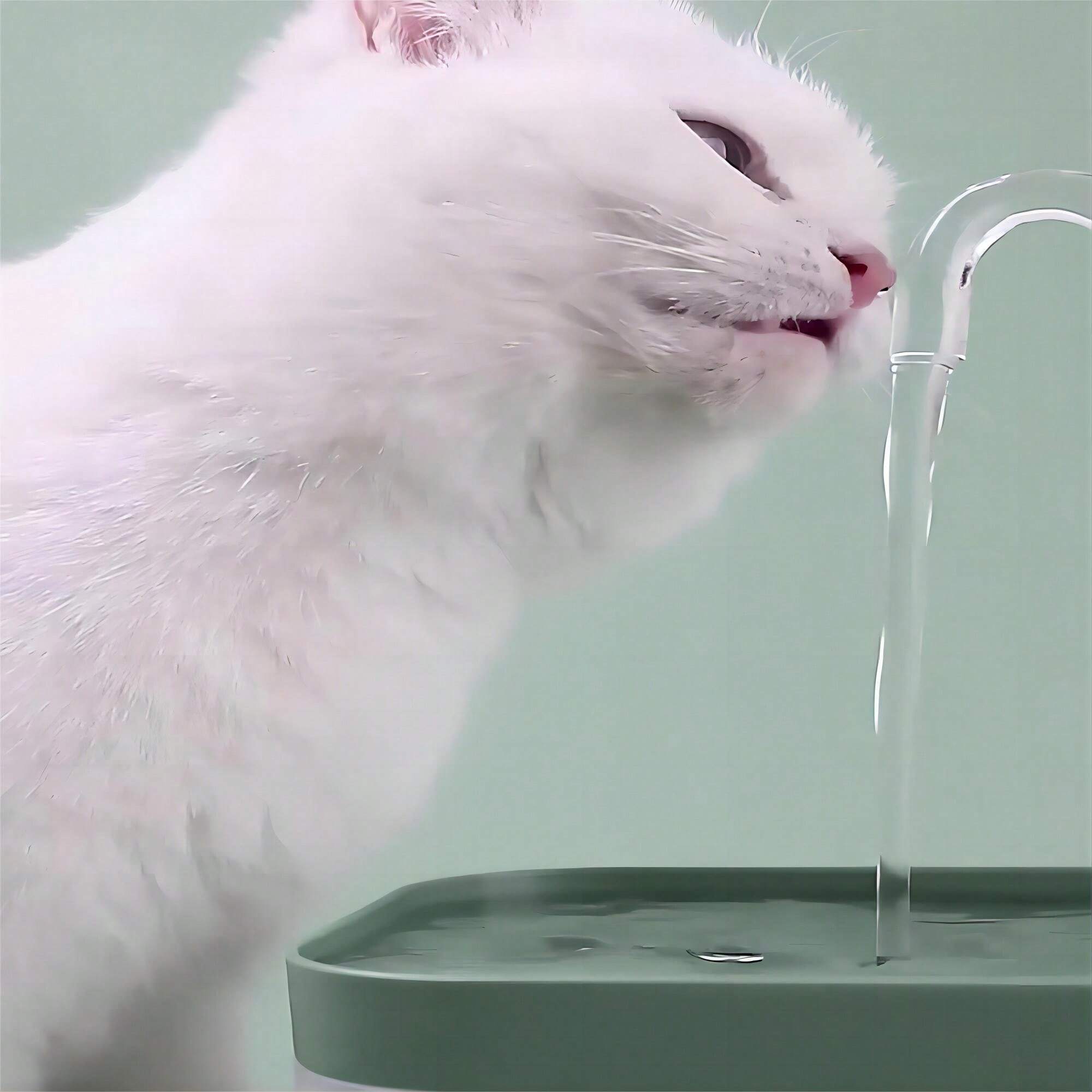 Premium Cat Water Fountain With Innovative Faucet Style- Automatic ...