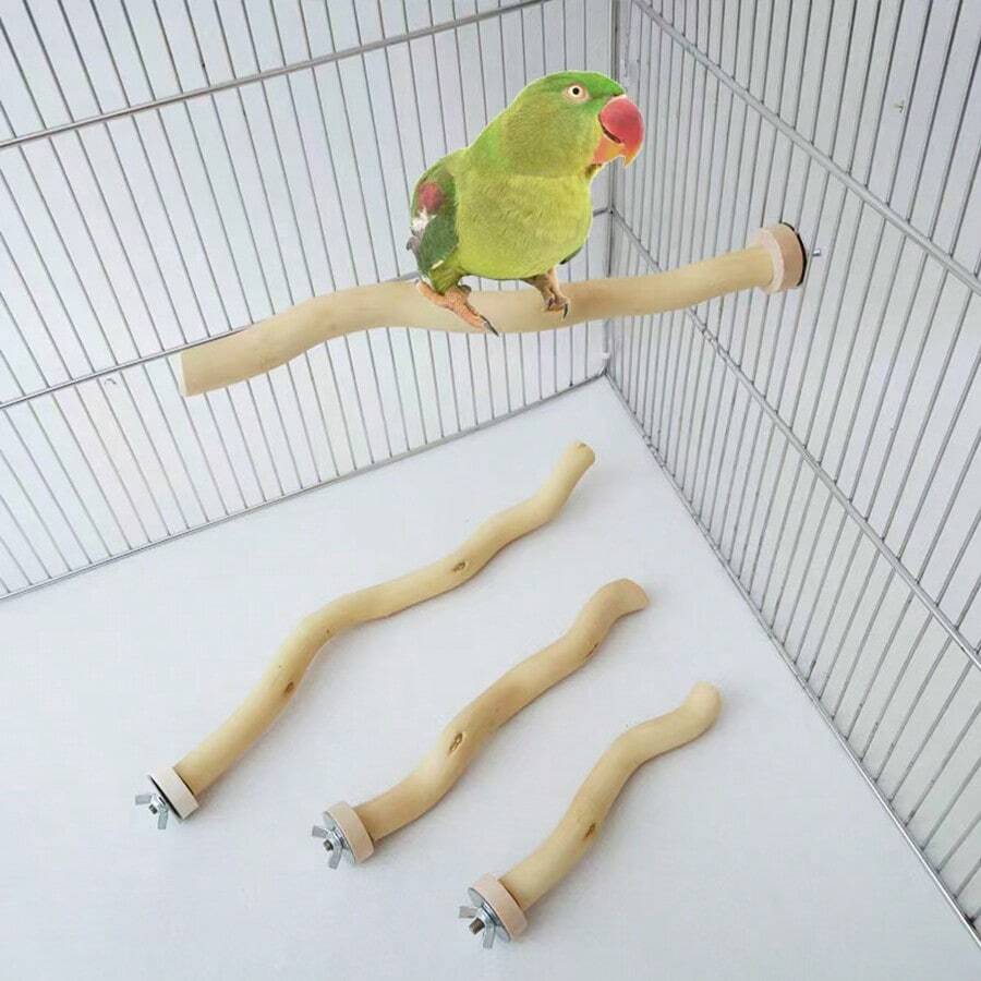Parrot Standing Perch, Natural Hardwood Curved Perch, Wooden Grinding ...