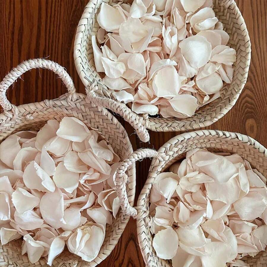 10/50/100g Freeze Dried Rose Petals, Ivory, REAL Rose Petals, Perfectly ...