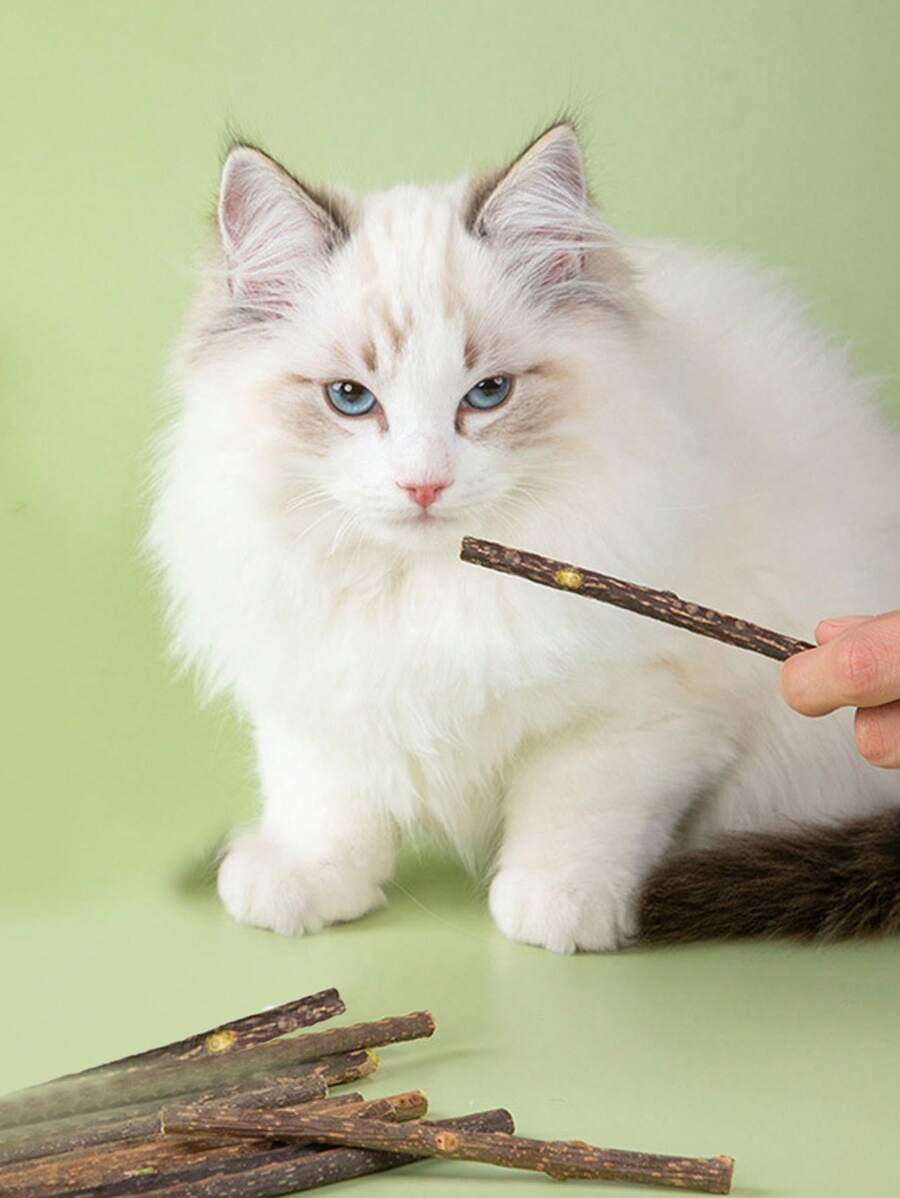 10pcs Natural Birchwood Cat Chew Sticks, Promote Healthy Gums And Fresh ...