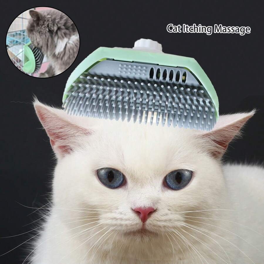 Brinquedo para arranhar gato em cor aleatória, Ferramenta de massagem ...