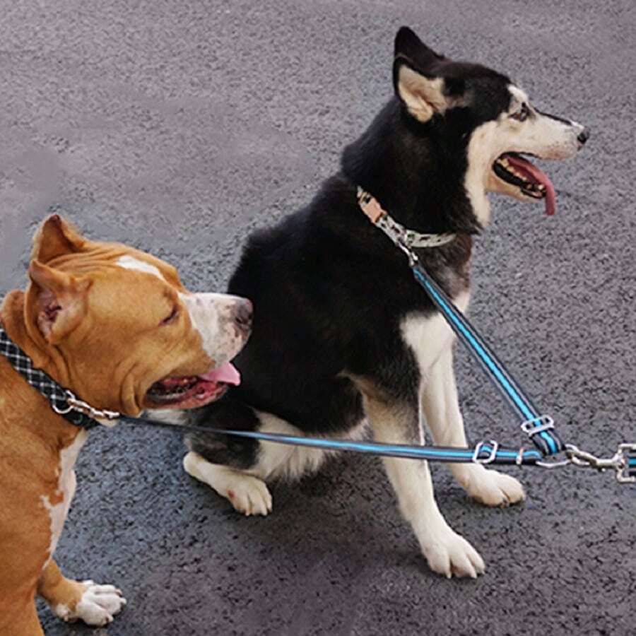 1 Pieces Nylon Reflective Retractable Dual Dog Leash, Simultaneously ...