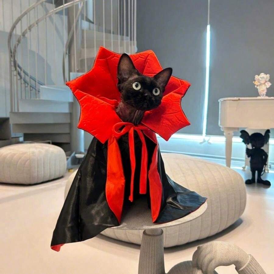 Pet Cats Witch Magic Cloak Cape Costumes, Funny Holiday Party Cosplay ...