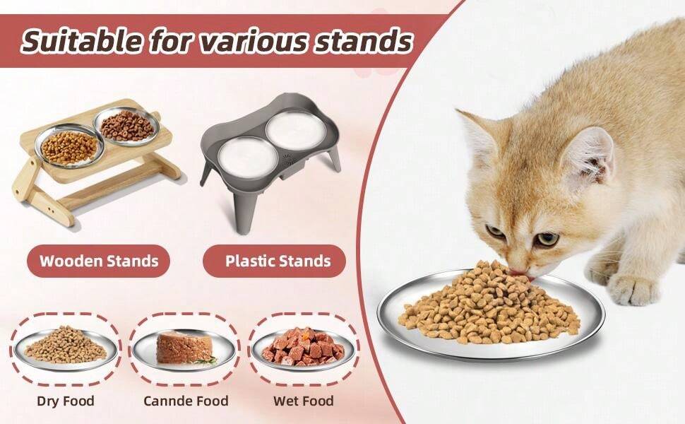 12 Pieces Stainless Steel Cat Food Bowls, Small Shallow Cat Food Bowls ...