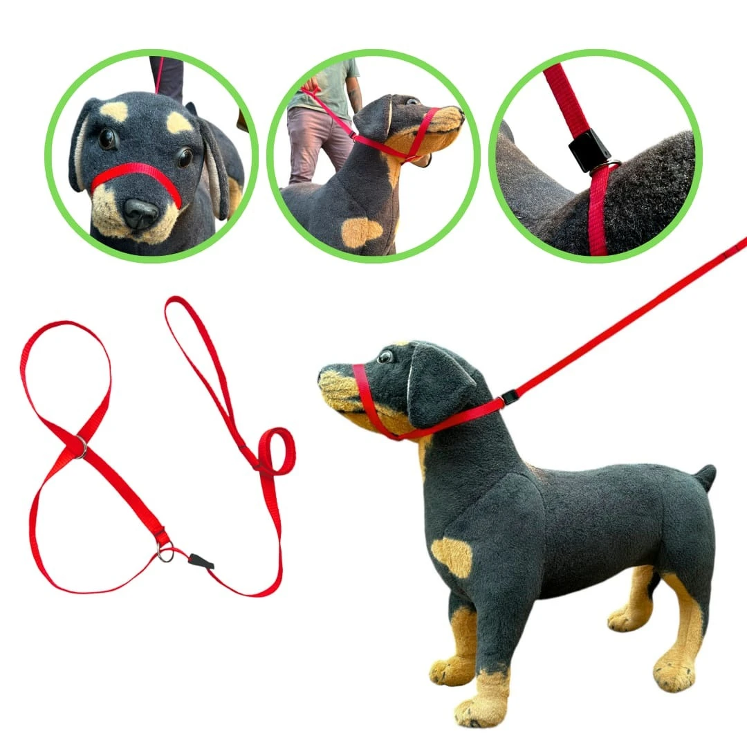 Unified Guide Collar Halter Educational Training Dogs | SHEIN USA