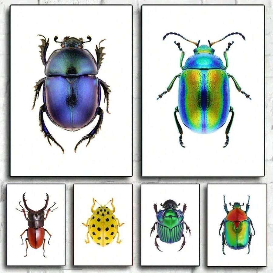 1pc HD Print Insect Beetle Breeds Collection Poster And Print Canvas ...