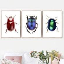 1pc HD Print Insect Beetle Breeds Collection Poster And Print Canvas ...